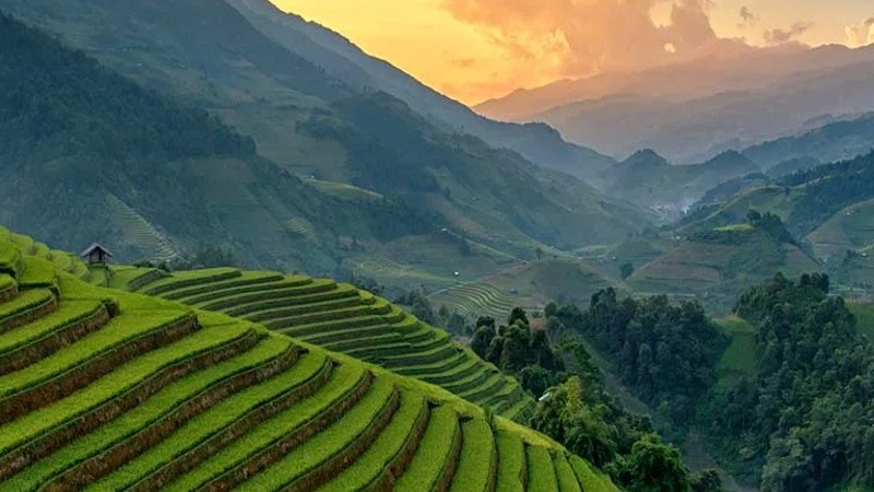 esky - אתר חיפוש טיסות, מלונות והשכרת רכבים עם 3% קאשבק