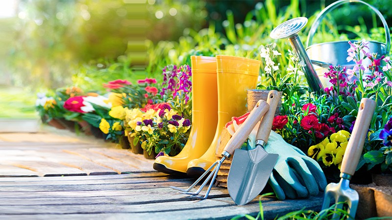 צור מרקט - zur market - תחזוקה לבית והגינה עם 6% קאשבק